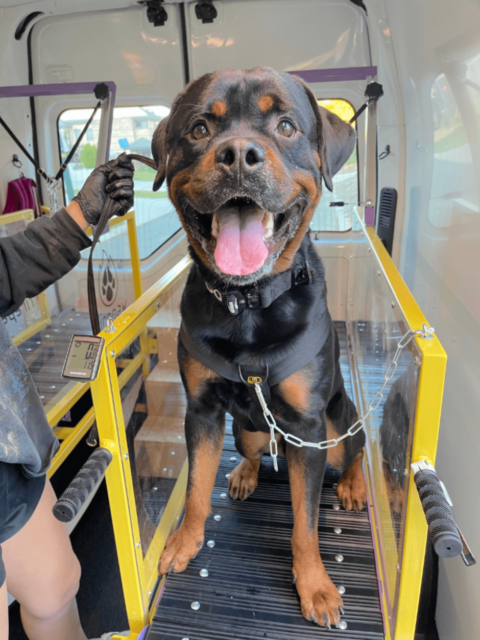 Fit4Paws Mobile Dog Gym