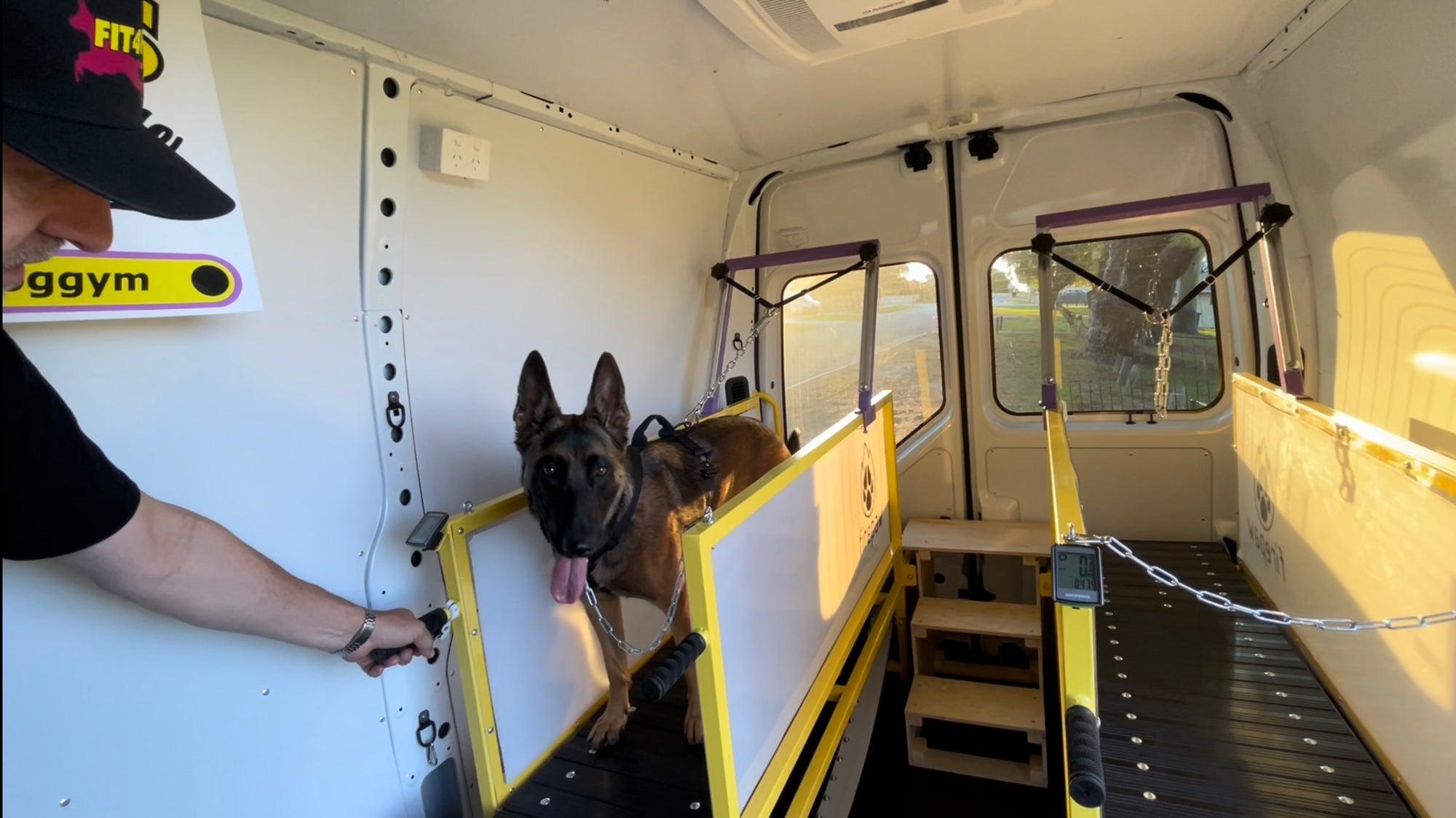 Fit4Paws Mobile Dog Gym